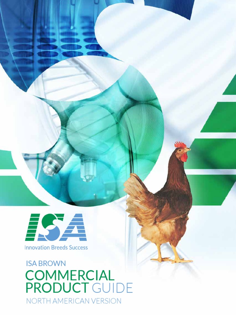 ISA Brown Layer Management Guide | PDF | Chicken | Poultry Farming
