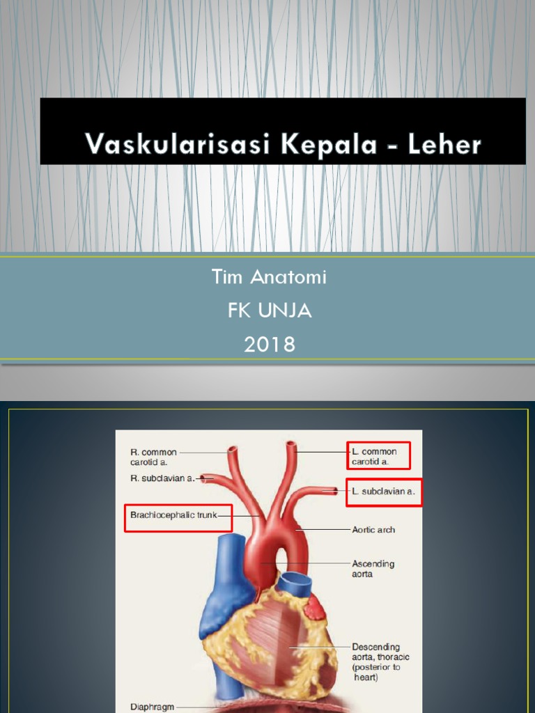 Vaskularisasi Kepala - Leher | PDF