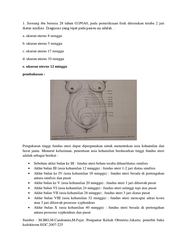 Contoh Soal Ukdi Dan Pembahasan | PDF