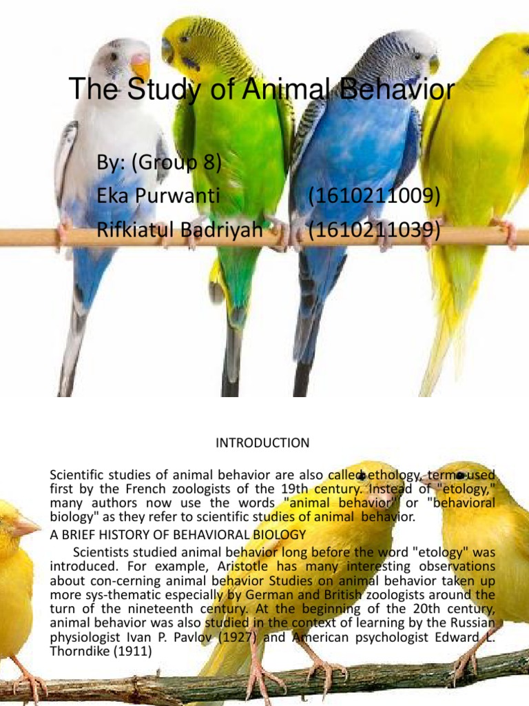 The Study of Animal Behavior: By: (Group 8) Eka Purwanti (1610211009 ...