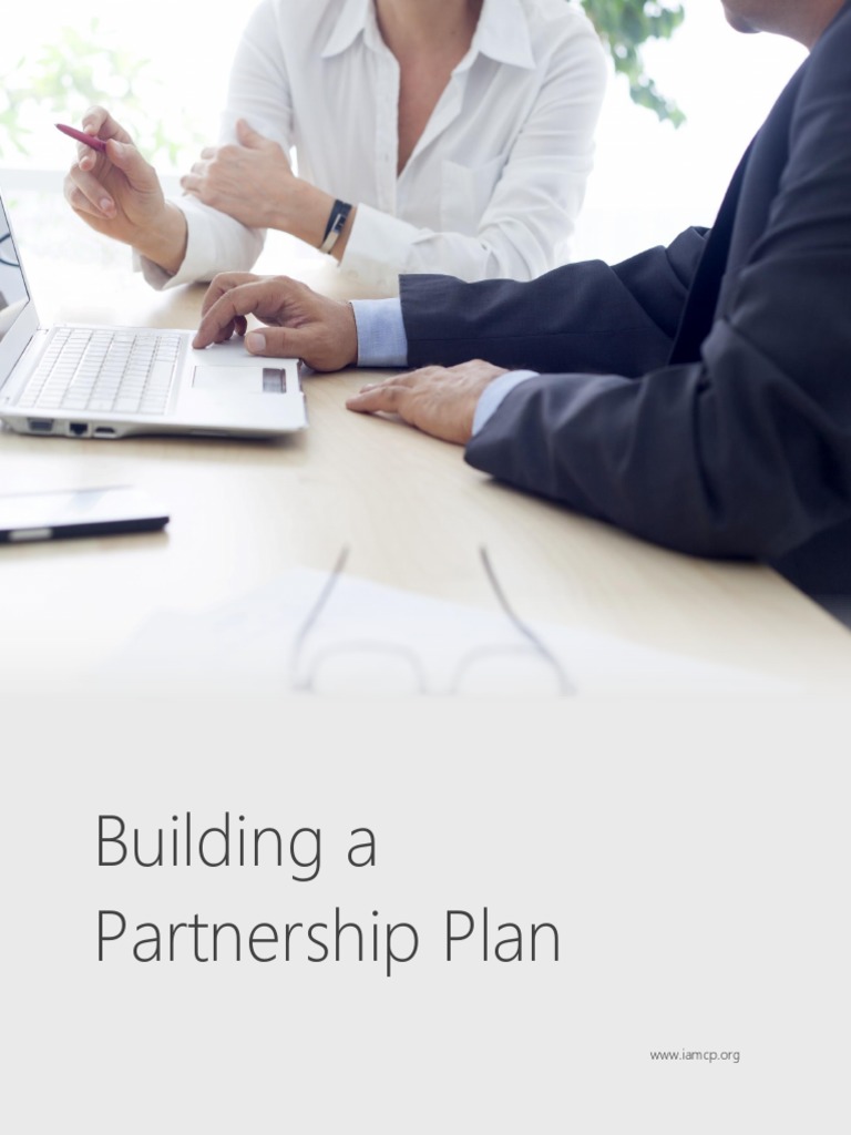 Business Partner Plan Template | PDF | Target Audience | Sales