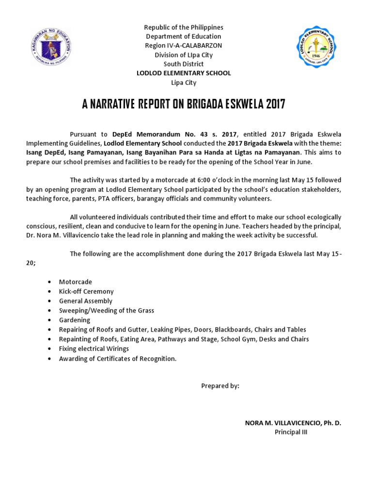 2017 Brigada Report | PDF