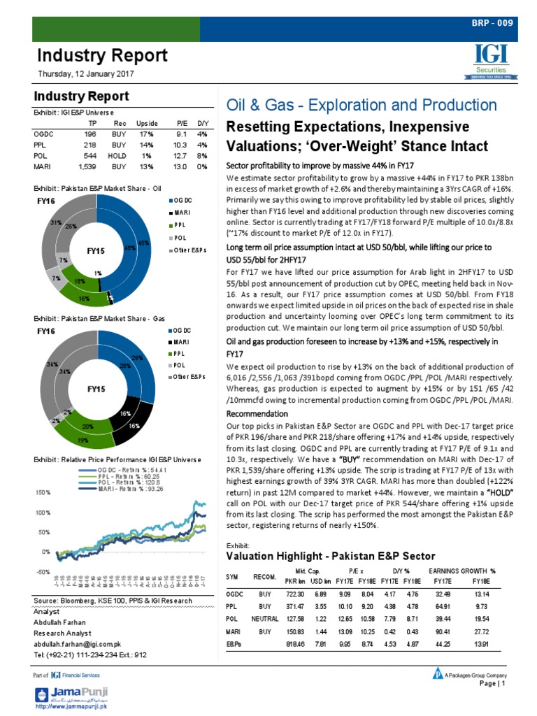 Industry Report: Oil & Gas - Exploration and Production | PDF | Opec ...