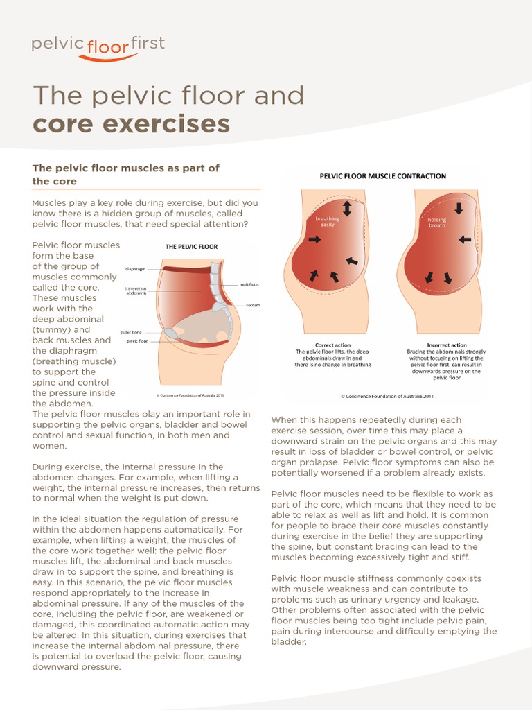 The Pelvic Floor and Core Exercises | PDF | Urinary Incontinence | Abdomen