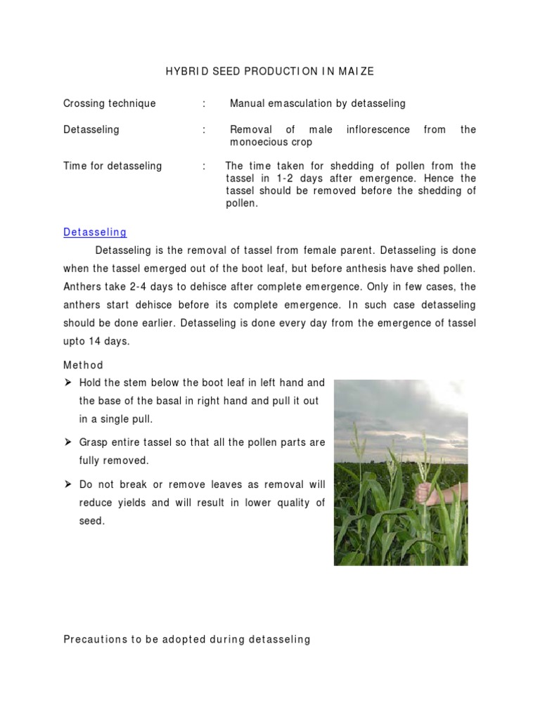 Agri Extensions | PDF | Plant Breeding | Hybrid (Biology)