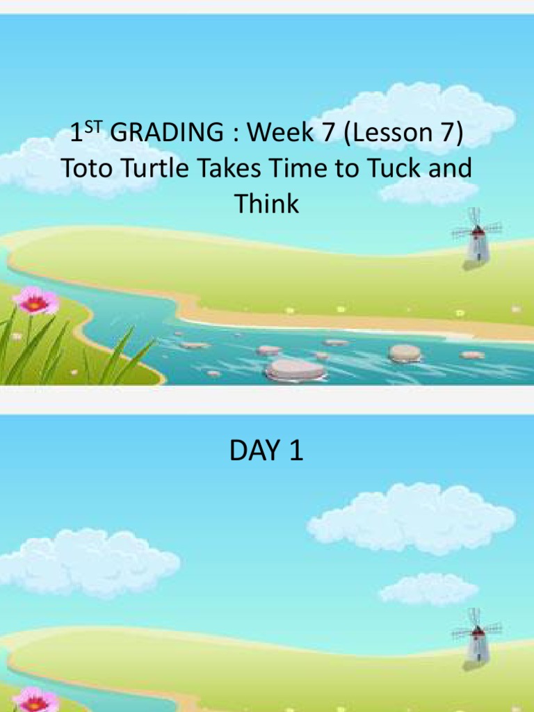 Toto Turtle | PDF | Plural | Hand