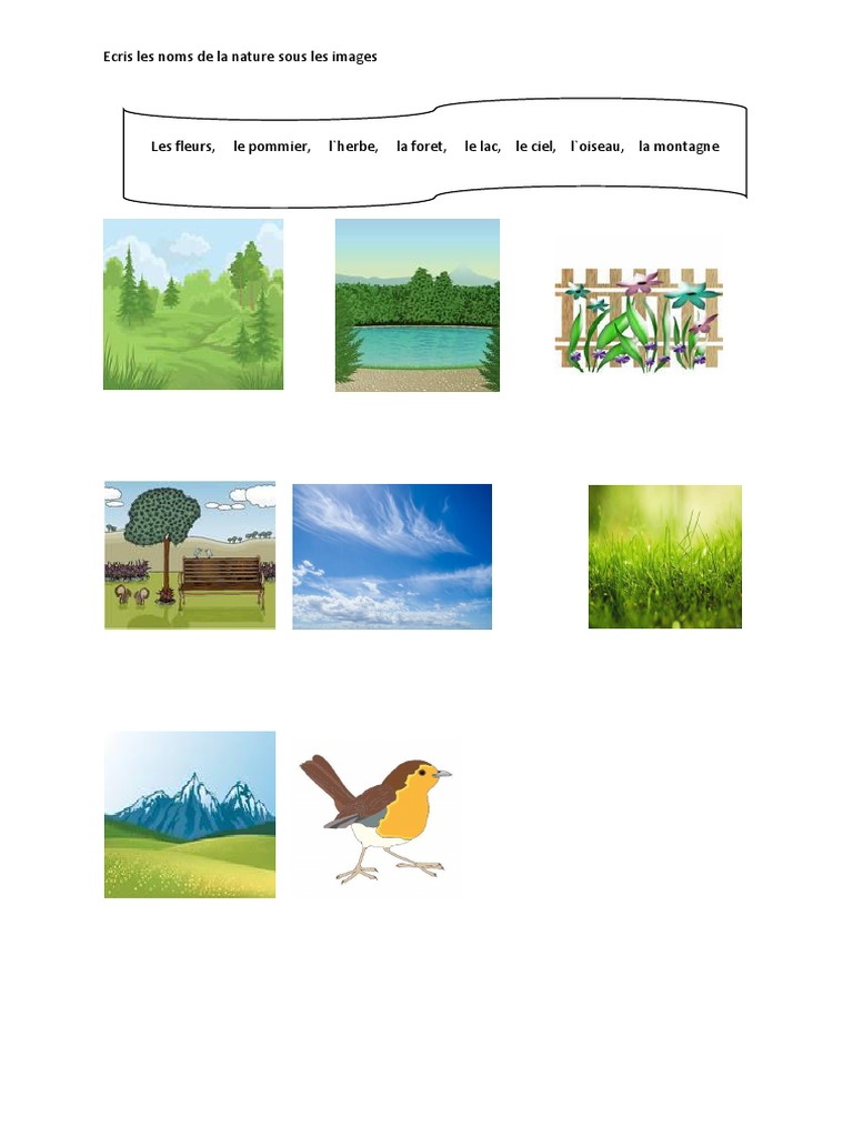 Vocabulaire - La Nature | PDF