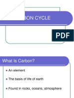 Carbon Cycle PowerPoint | PDF | Carbon Cycle | Carbon