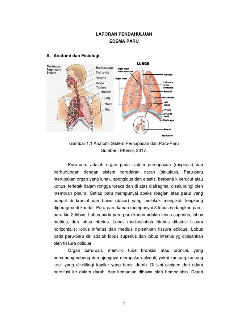 LP Edema Paru | PDF