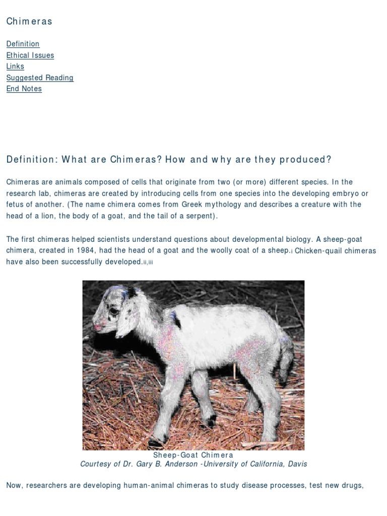 Chimera | PDF | Stem Cell | Human