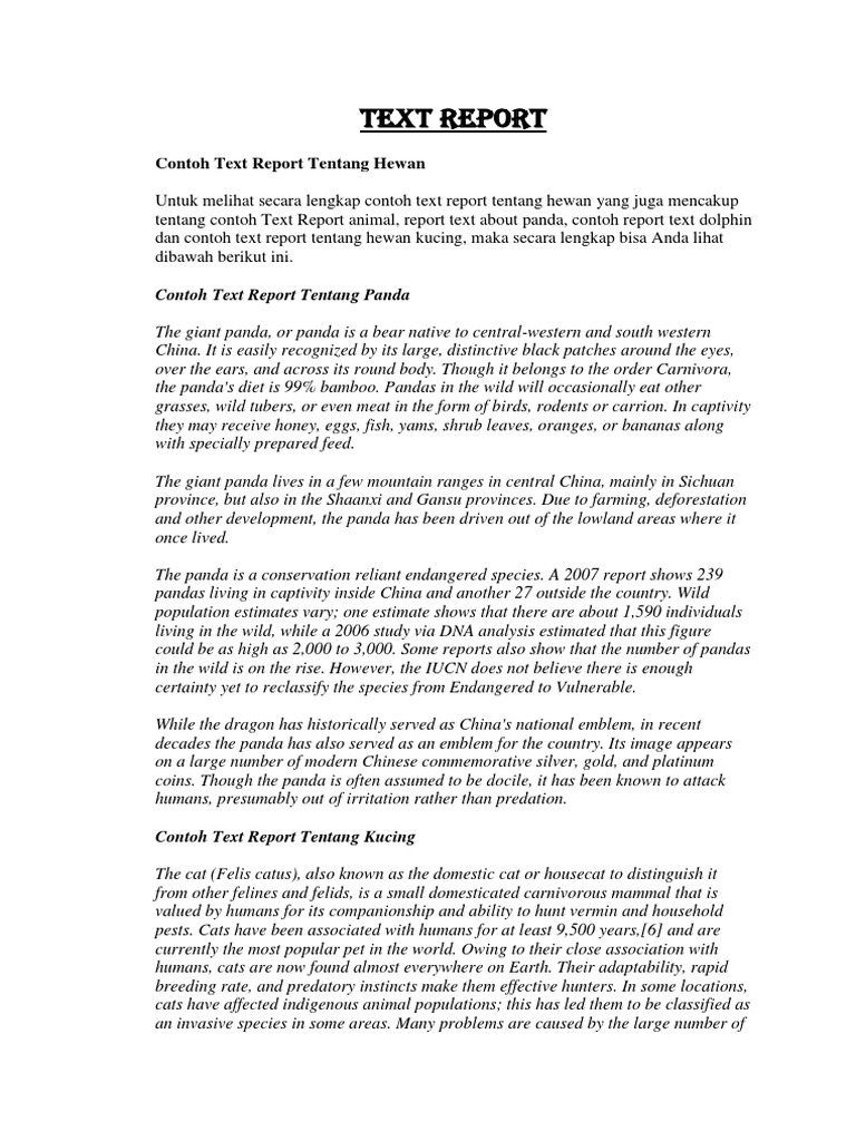 Contoh Teks Report | PDF | Giant Panda | Cats