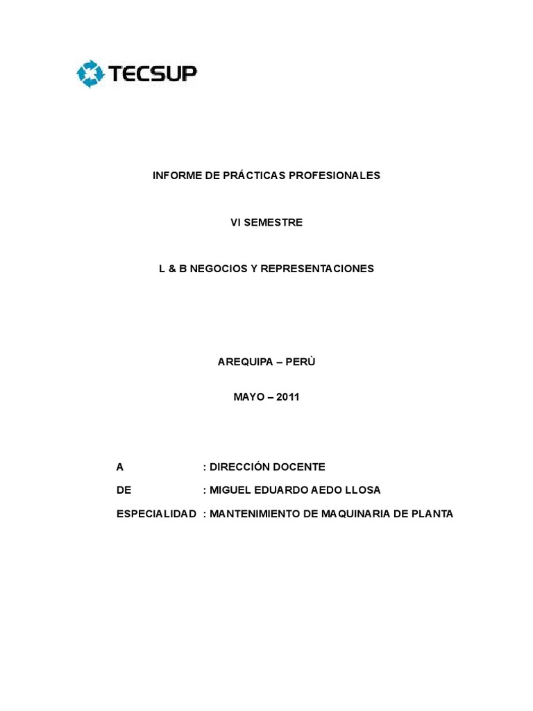 Carátula de Informe de Practicas Profesionales | PDF