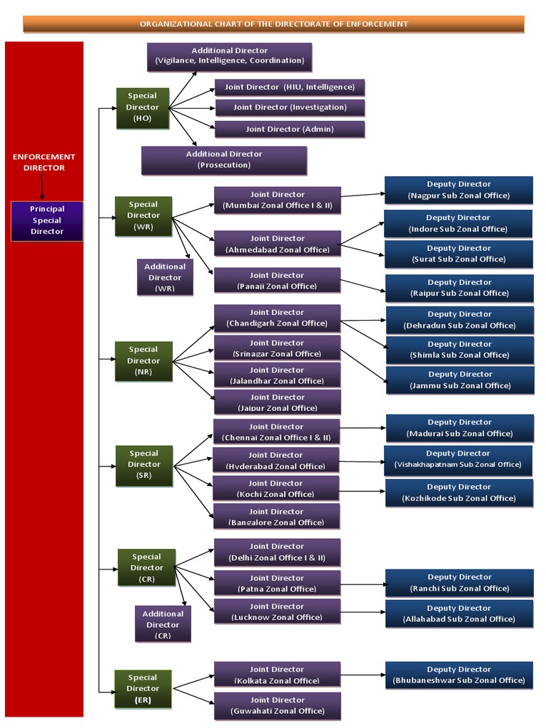Organizational Chart ED | PDF