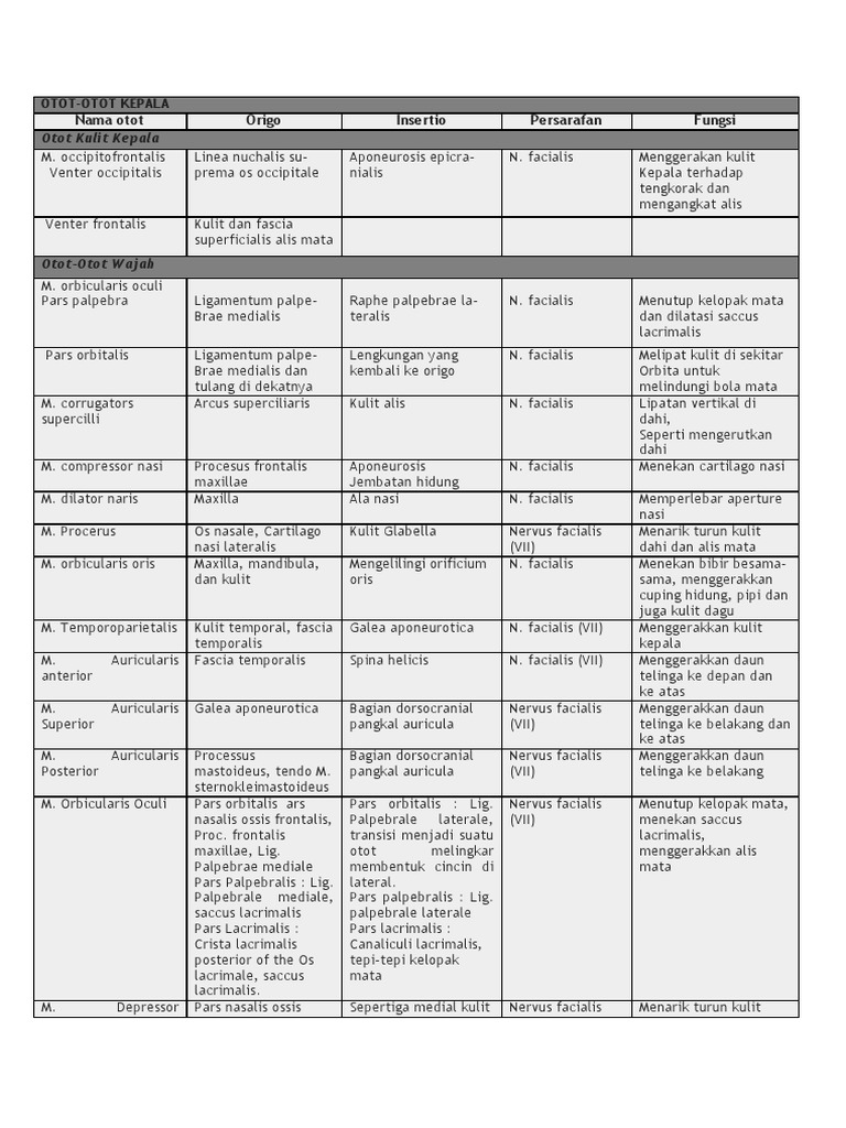 Origo dan Insersio Otot Kepala | PDF