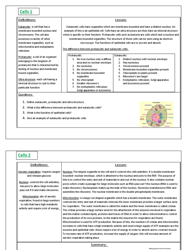 Cells Revision Notes | PDF | Endoplasmic Reticulum | Cell Nucleus