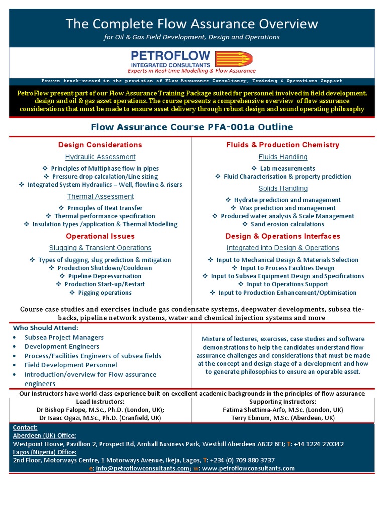 The Complete Flow Assurance Overview | PDF | Pipeline Transport | Gases