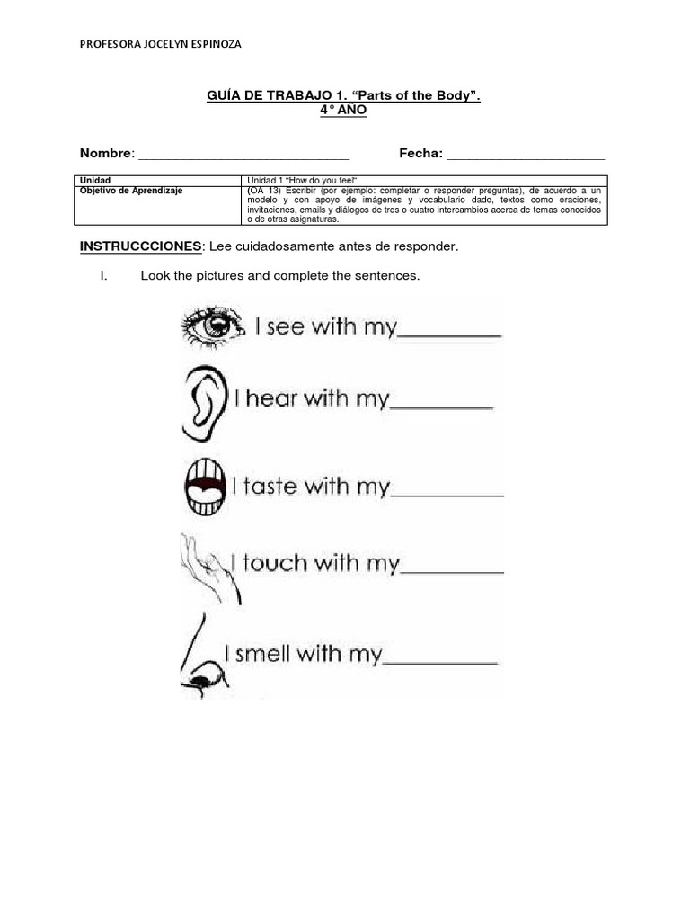 Guia 1 Parts of The Body | PDF
