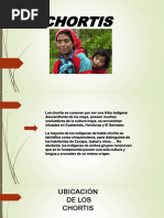 2 Comida Tipíca Chortís y Sus Cultura | PDF | Agricultura | Alimentos