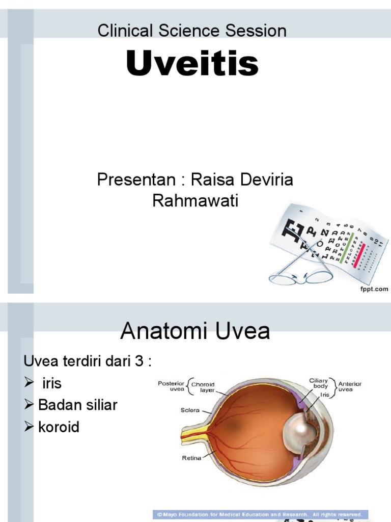 CSS Uveitis | PDF | Sains & Matematika