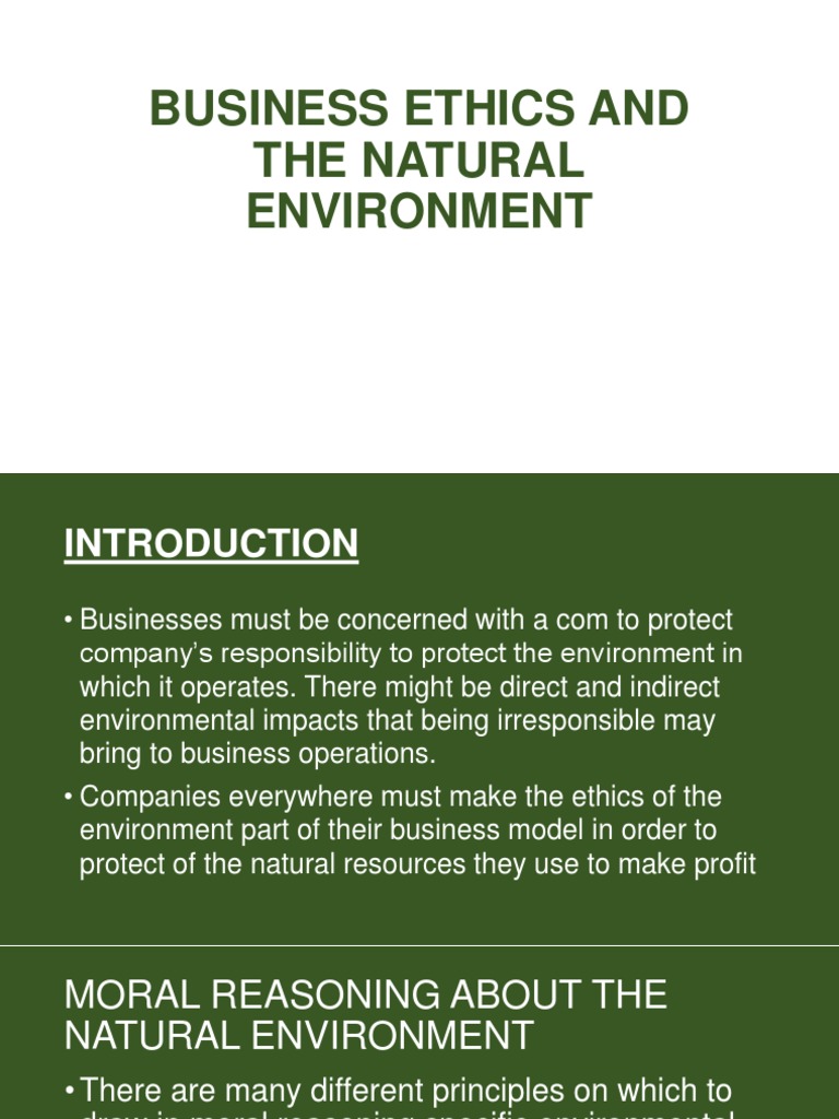 Business Ethics and The Natural Environment | PDF | Sustainability ...
