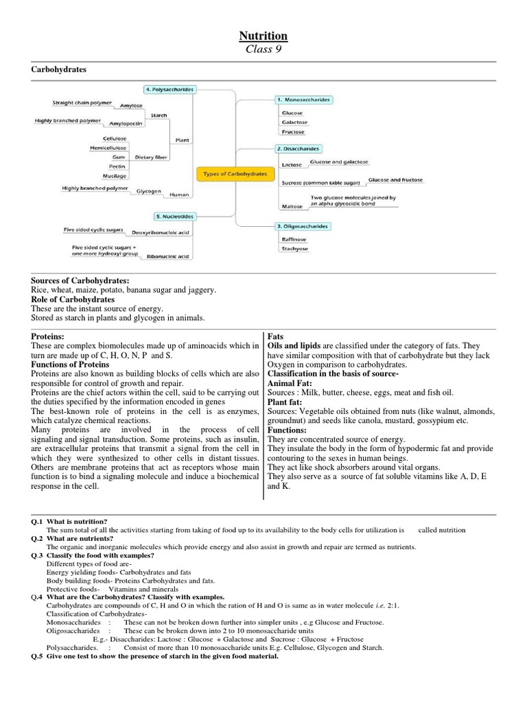 Notes For Nutrition Class 9 | PDF | Carbohydrates | Glucose