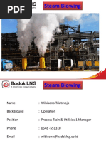 Boiler Unit 1 Steam Blowing Procedure | PDF | Boiler | Steam