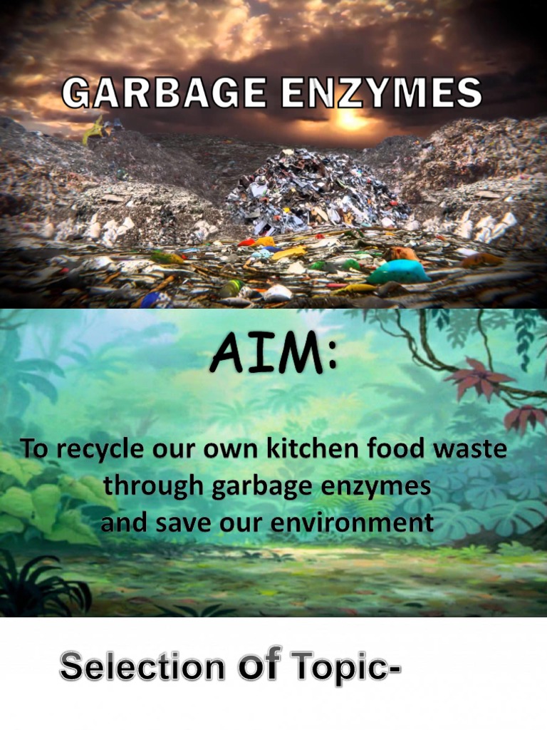 Garbage Enzyme 2 | PDF | Potato | Agriculture