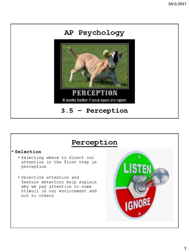 AP Psychology: 3.5 - Perception | PDF | Perception | Attention