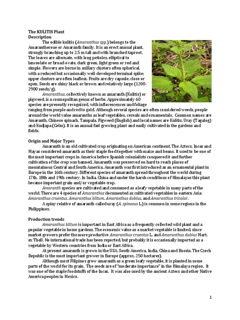 A Comprehensive Overview of the Nutritious and Versatile Kulitis Plant ...
