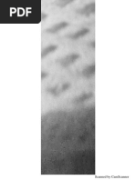 10 Speed Shift Pattern | PDF