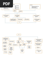 Woc Hematemesis Melena Endah | PDF