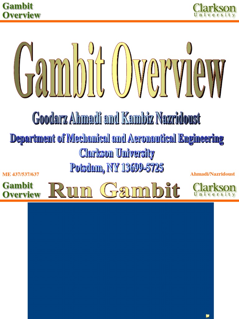 Gambit Overview | PDF