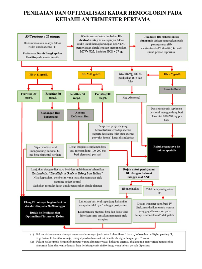 Bagan Tatalaksana Anemia Pada Kehamilan | PDF