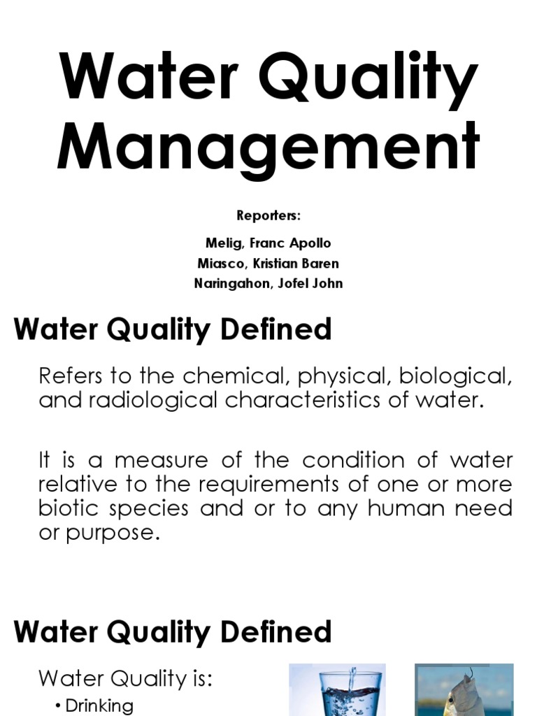 Water Quality Management | PDF | Water Pollution | Sewage Treatment