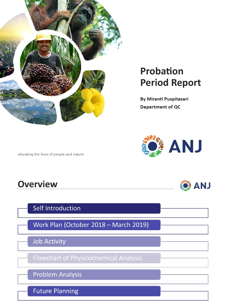 Probation Period Report.ppt | Scientific Method | Chemistry