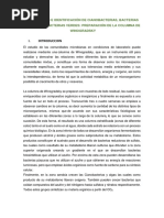 Cultivo Axénico | PDF