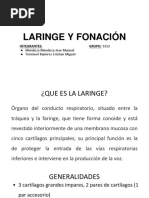 FARINGE y LARINGE - Anatomía II, Veterinaria | PDF | Laringe ...