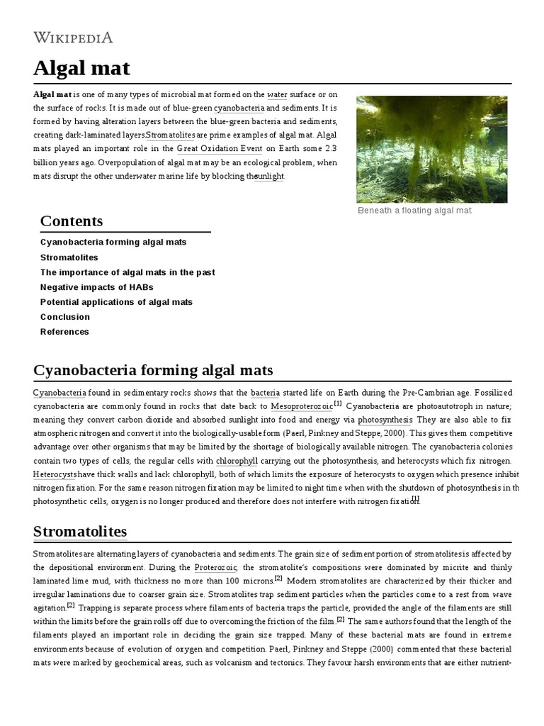 Beneath A Floating Algal Mat | PDF | Organisms | Earth Sciences