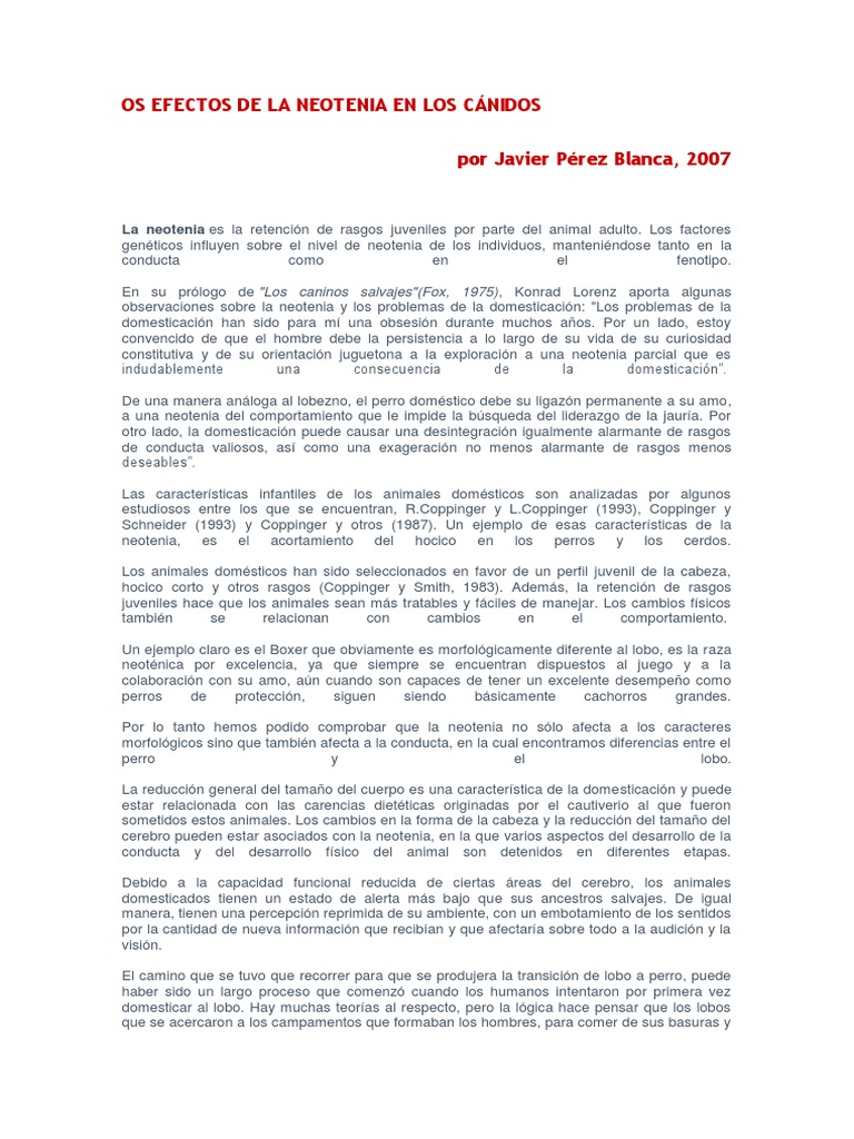 Os Efectos de La Neotenia en Los Cánidos | PDF | Domesticación | Perros
