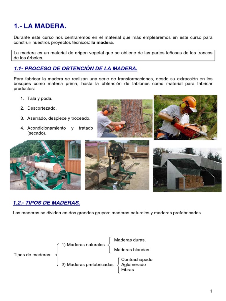 1. - Proceso De Obtención De La Madera | Madera | Madera contrachapada