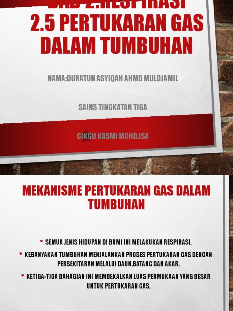 Bab 2 5 Pertukaran Gas Dalam Tumbuhan Pdf