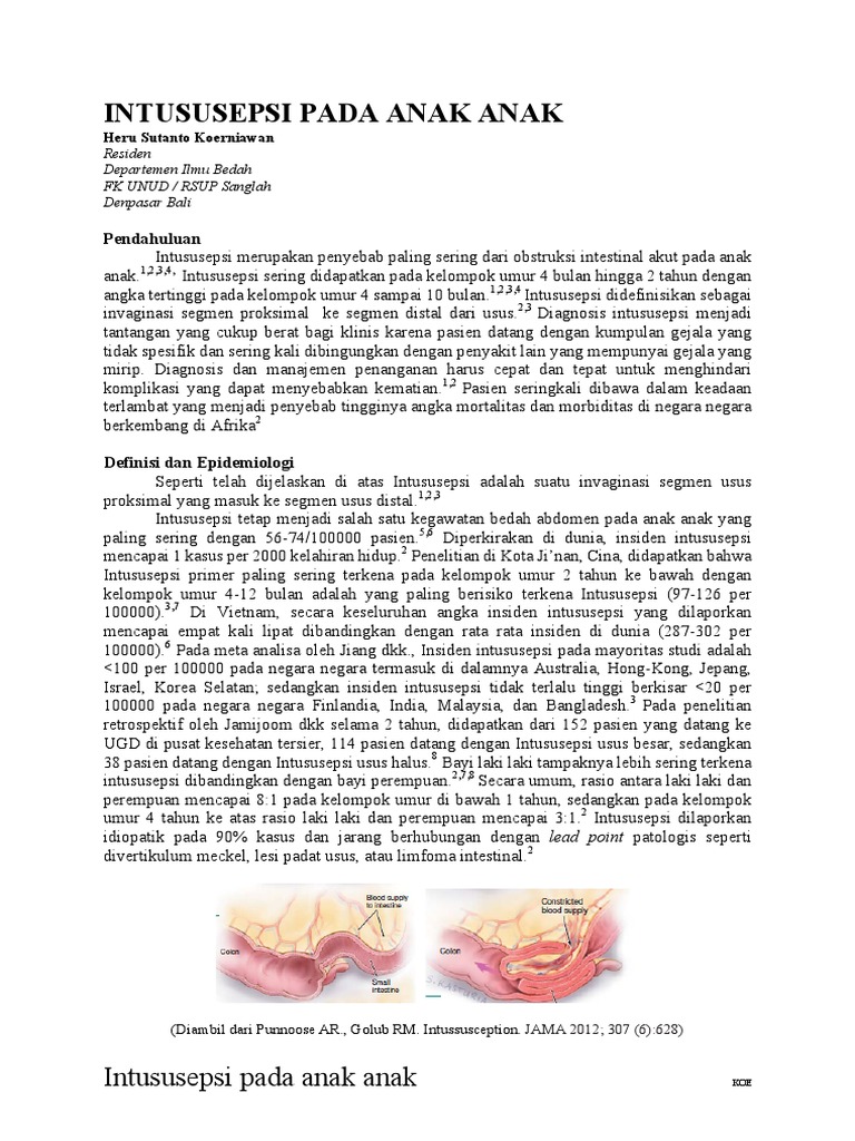 Intususepsi Pada Anak Anak | PDF | Kesehatan Holistik