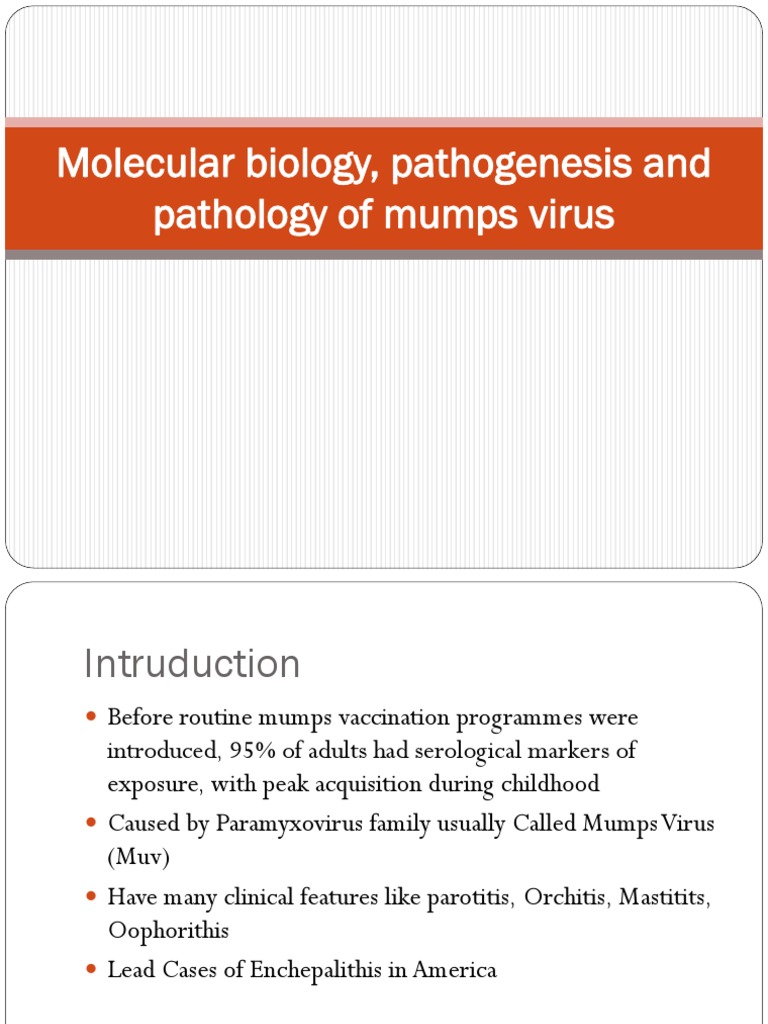 Mumps Virus Pathogenesis