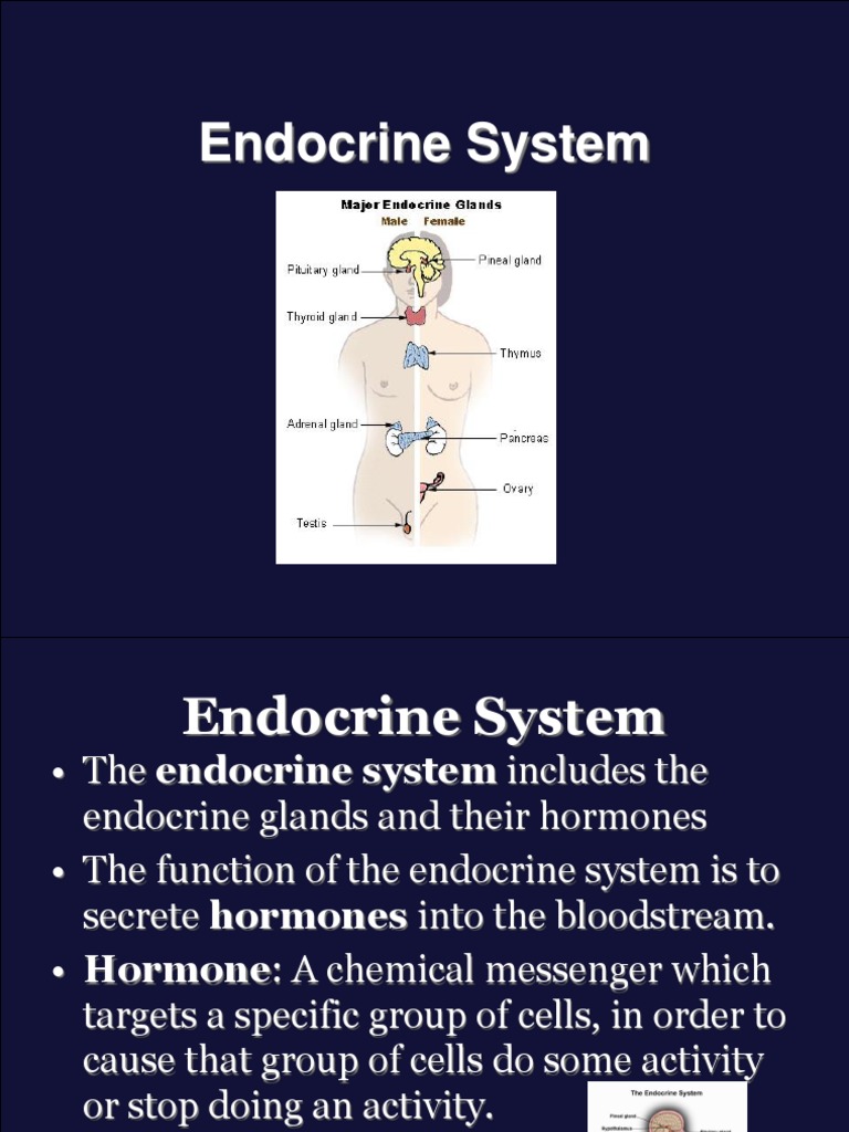 Demo Teaching First Law of Motion G8 | PDF | Luteinizing Hormone | Endocrine System