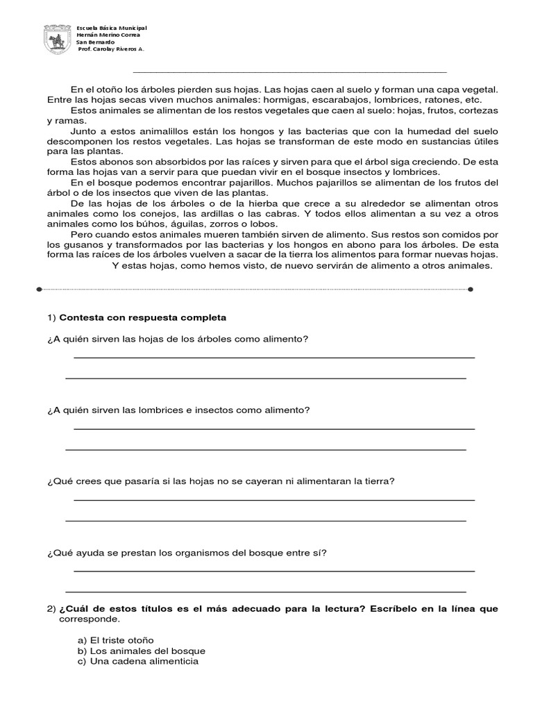 En El Otoño Los Árboles Pierden Sus Hojas | PDF | Arboles | Suelo