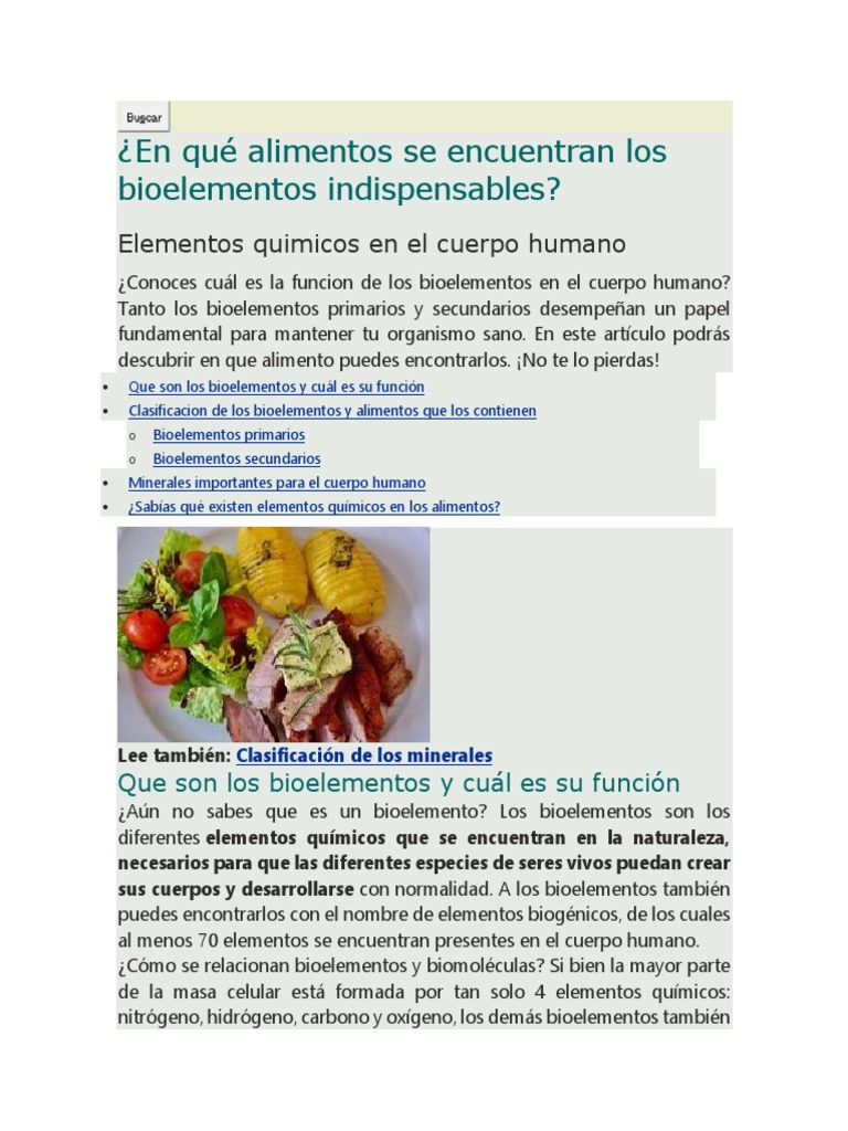 En Qué Alimentos Se Encuentran Los Bioelementos Indispensables | PDF ...