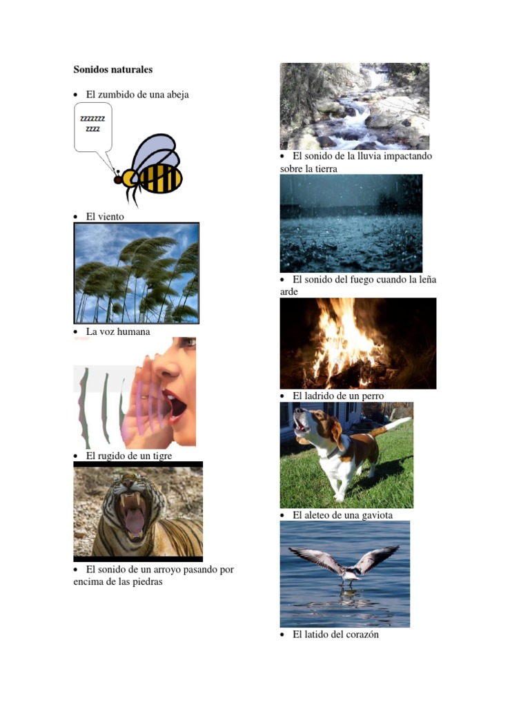 Sonidos Naturales y Artificiales | PDF