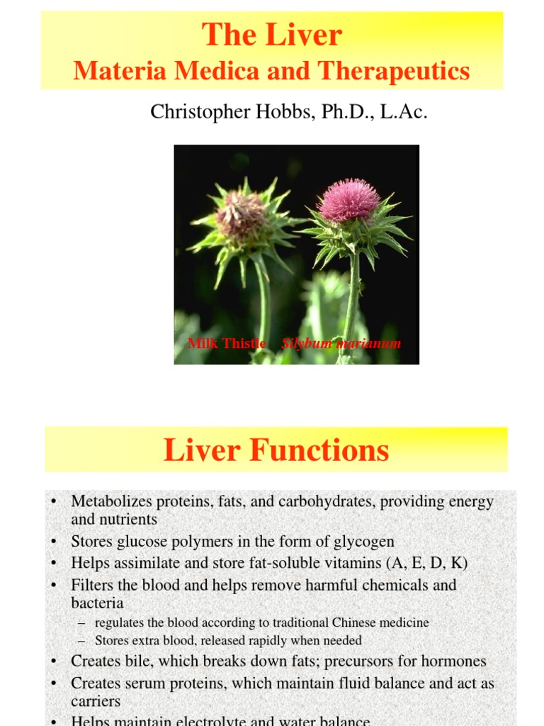 Liver Class Slides | PDF | Hepatitis | Liver