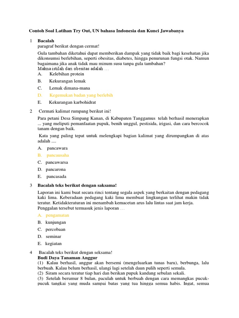 Contoh Soal Latihan Try Out | PDF