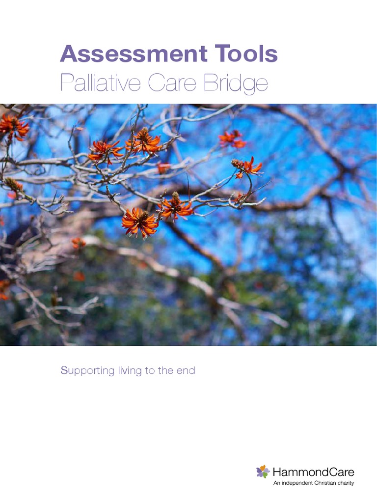 Palliative AssessmentTools | PDF | Analgesic | Palliative Care